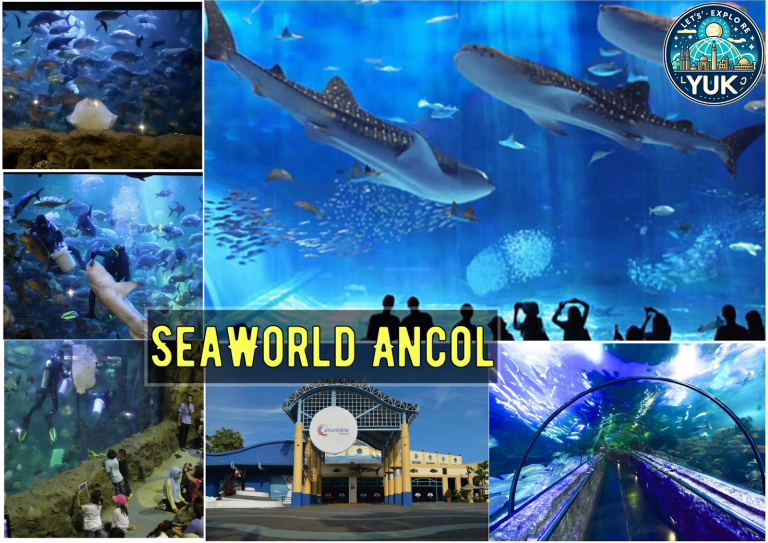 Pengalaman Seru di Seaworld Ancol: Destinasi Wisata Bawah Laut